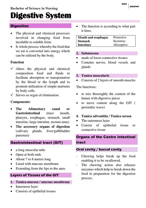 Solution Anatomy And Physiology Digestive System Studypool