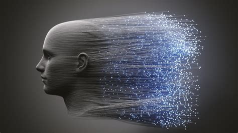 Científicos revelan cómo será el rostro de los seres humanos en un