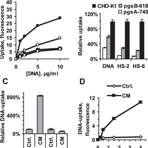 Uptake Of Naked DNA And HS In Mammalian Cells A CHO K1 Cells Were