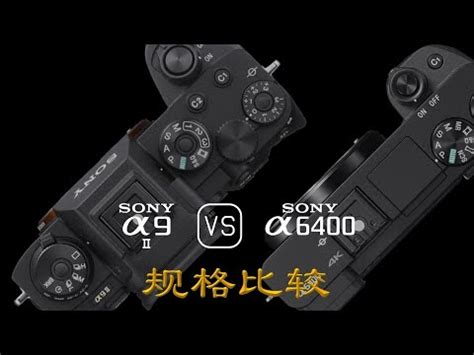 Sony A9 II 与 Sony A6400 的规格比较 YouTube