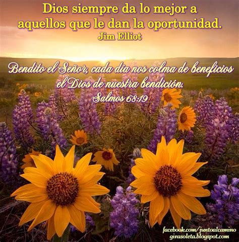 Junto Al Camino Im Genes Con Textos B Blicos De Alabanza A Dios