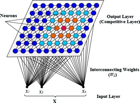 a schematic model of self organizing map network [52] download scientific diagram