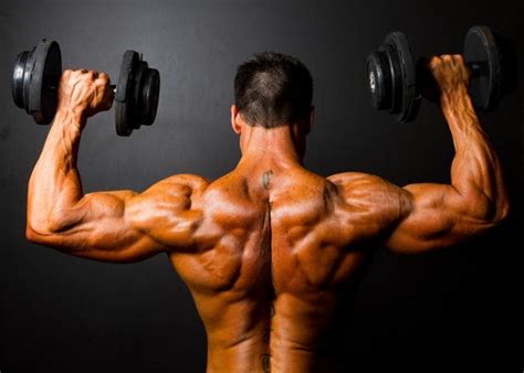 Volumen de entrenamiento e hipertrofia muscular Fisiología del Ejercicio