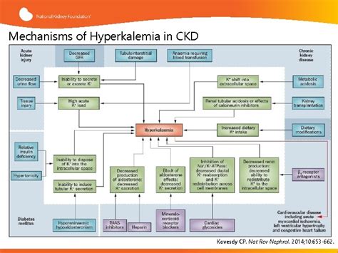 evaluation and management of hyperkalemia this presentation was