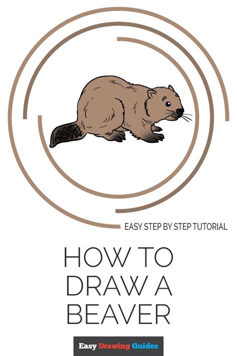 How To Draw A Beaver Really Easy Drawing Tutorial Drawing Tutorial