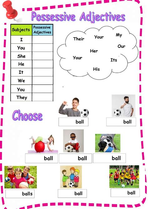 Possessive Adjectives Her His My Your Worksheet Artofit