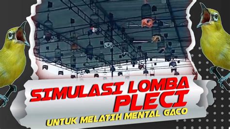 SIMULASI LOMBA PLECI 2024 AGAR PLECI PUNYA MENTAL JUARA