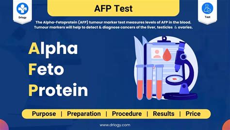 Double Marker Test Price Purpose And Results Drlogy