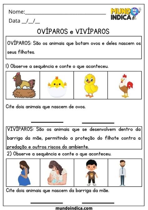 Atividades De Ci Ncias Ano Fundamental Para Imprimir