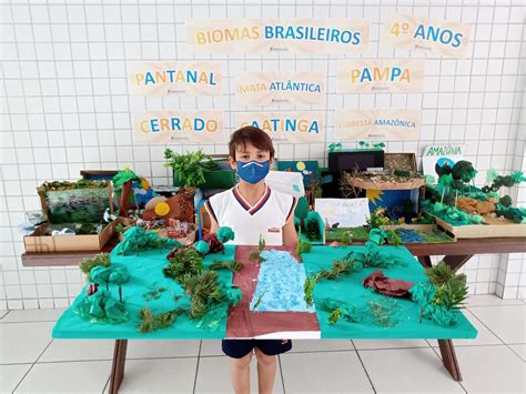 Alunos Do Ano Exp Em Maquetes Representando Os Biomas Brasileiros