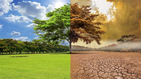 Zmiany klimatu w Polsce jak szybko rośnie temperatura Wiadomości