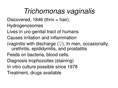 Recap Protista W Pseudopods And Flagella Entamoeba Histolytica Ppt