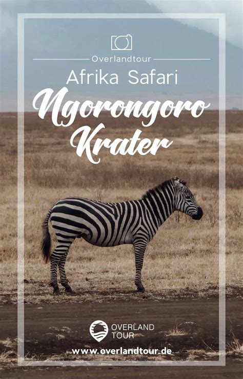 Ngorongoro Crater Safari Tansania 3 Tages Tour Overlandtour Im