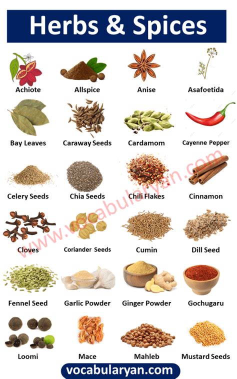 List Of Herbs And Spices Vocabulary With Images VocabularyAN