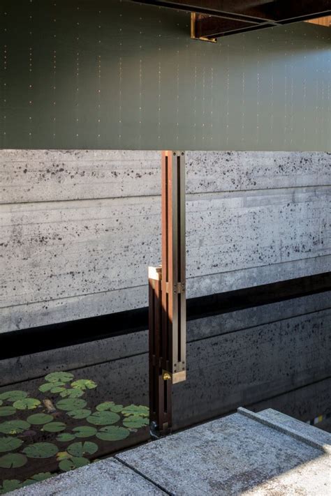 An Open Door On The Side Of A Building With Water Lilies Growing In It