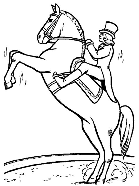 Paard Met Veulen Kleurplaat Kleurplaatje Nl