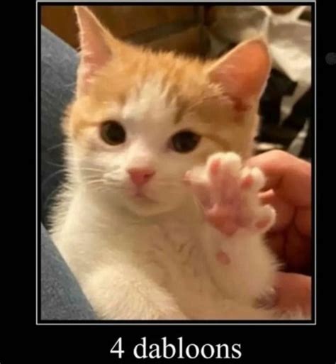 Doubloons Meme Discover More Interesting Coin Doubloon Doubloons