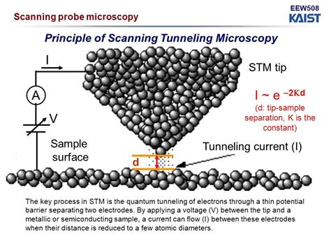 Stm Principle The Afm Was Developed As A Variant Of The Scaninning