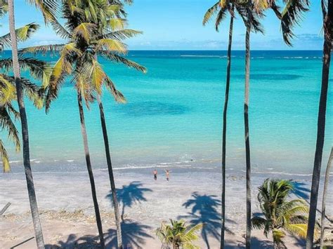 Maceió Guia das melhores praias e passeios ExploraAi