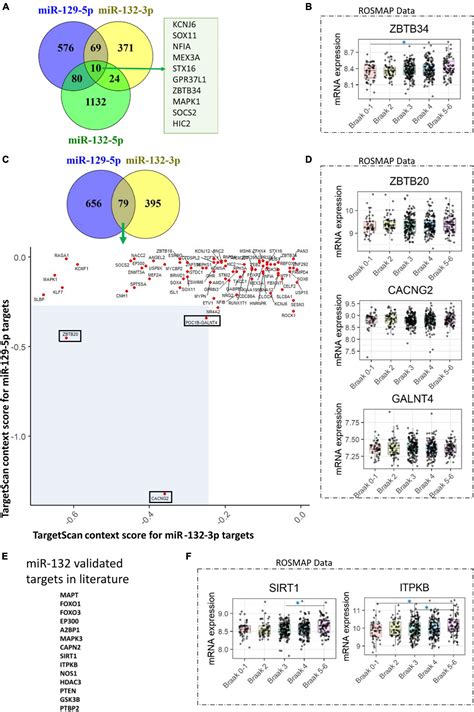 Frontiers Downregulation Of Hsa Mir And Hsa Mir Non Coding