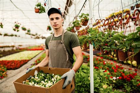 Horticulteur Vive Les Plantes Fiche M Tier Sherpas
