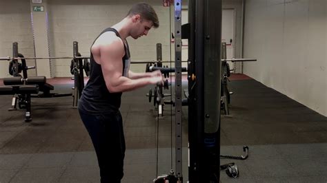 Todo Sobre El Curl De B Ceps Gu A De Ejercicios De Musculaci N