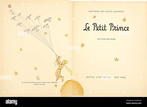 Der Kleine Prinz Le Petit Prince Museum Private Sammlung Autor