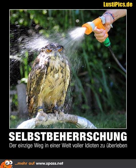 Ungewollte Dusche Lustige Bilder Auf Spass Net