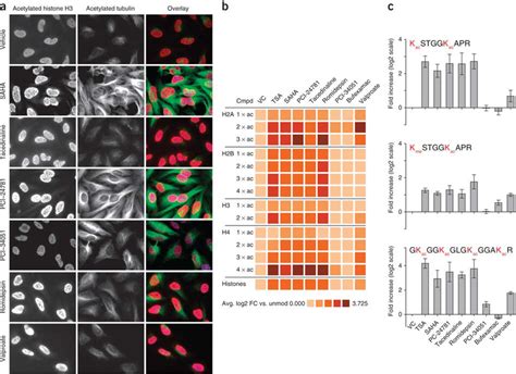 Differential Effects Of HDAC Inhibitors On Histone And Tubulin