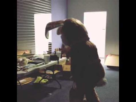 Easter Bunny Twerking That Ass Youtube