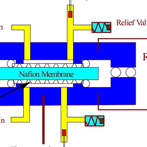 Schematic Of The PEM Fuel Cell The Membrane Electrode Assembly Is