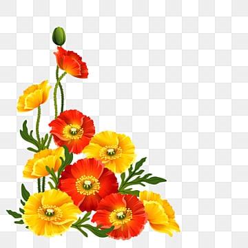 Recopilaci N Imagen Flor Png Transparente Abzlocal Mx