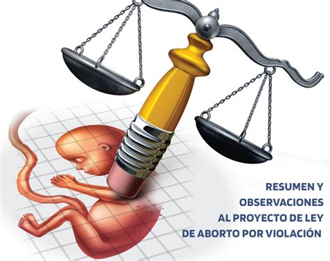 RESUMEN Y OBSERVACIONES AL PROYECTO DE LEY ORGÁNICA PARA GARANTIZAR EL