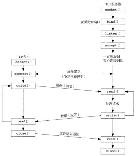 基本tcp套接字操作 jakelin 博客园