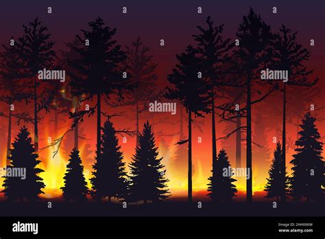 Wild Fire In The Night Forest Natural Disaster Wildfire Black