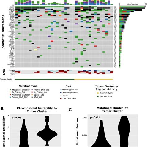 Somatic Mutations And Copy Number Alterations On Non Invasive Papillary