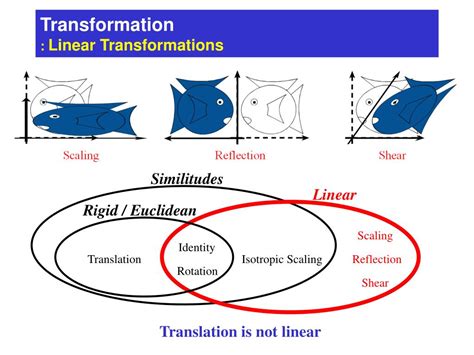 which composition of similarity transformations maps volairport