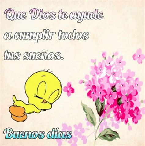 50 Imágenes de Piolín con Mensajes de Buenos Días y Frases