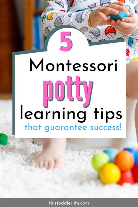 Montessori Potty Training Tips That Guarantee Success Potty