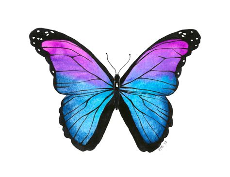 Purple Fade To Blue Butterfly X Watercolor Print Etsy