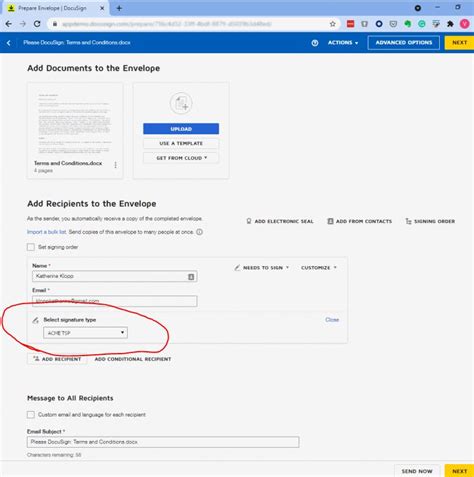 Python Docusign Trusted Service Provider API Set Signature Type