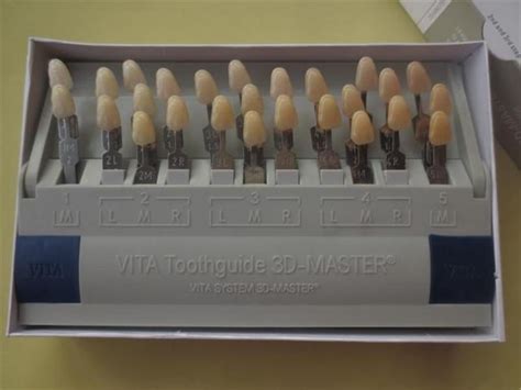 Dental Vita 3D Master Tooth Guide System 29 Shades Teeth Color Chart