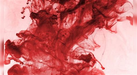 Descubre el significado oculto detrás de soñar con sangre y peleas