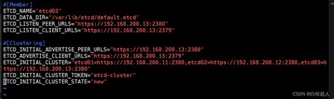 K8S二进制部署之定义CA证书与ETCD etcd key etcd cert etcd ca CSDN博客