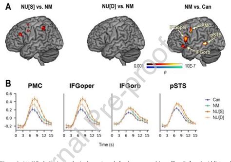 figure 2 from neural correlates of semantic driven syntactic parsing in sentence comprehension