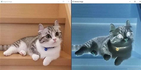 opencv python 反色变换 opencvpython反色函数 csdn博客