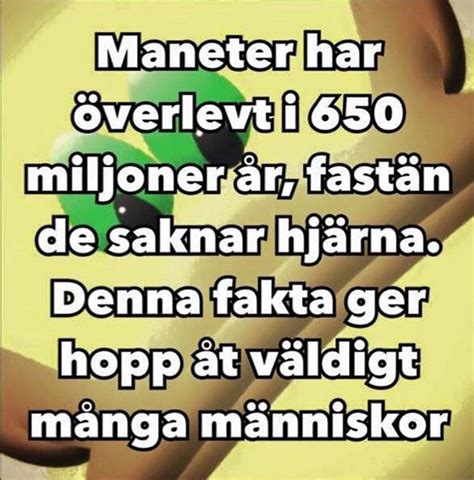 Pin Tillagd Av Anna Woods P Roligt Roligaste Citaten Roliga