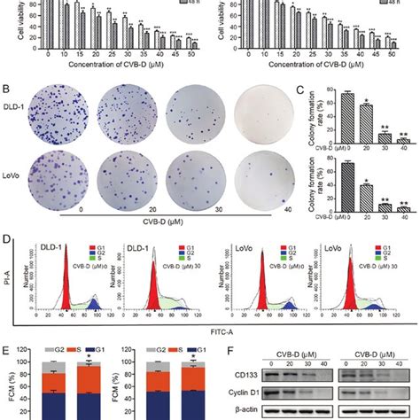 Effect Of Cvb D On The Apoptosis Of Crc Cells A The Apoptosis Of Crc