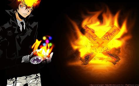 Tsuna Vongola Vongola Decimo Katekyo Hitman Reborn HD Wallpaper