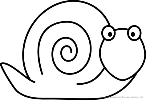 Malvorlage Schnecke Ausmalbilder Fur Euch Malvorlagen Kostenfreier